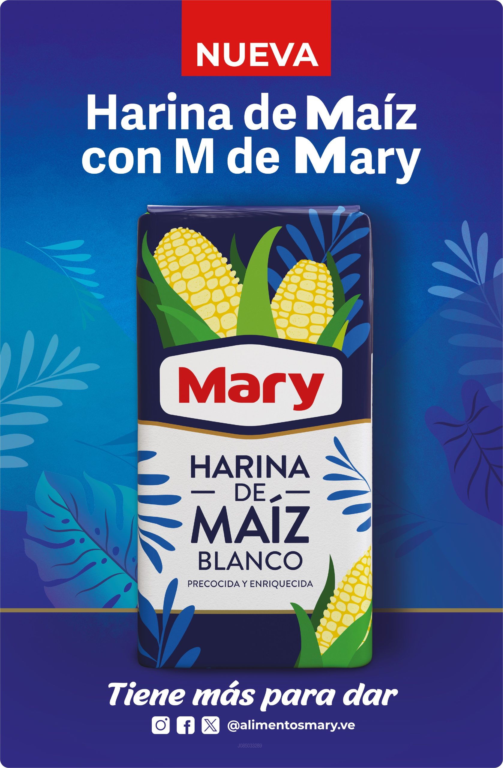 Mary lanza su harina de maíz | Publicidad y Mercadeo