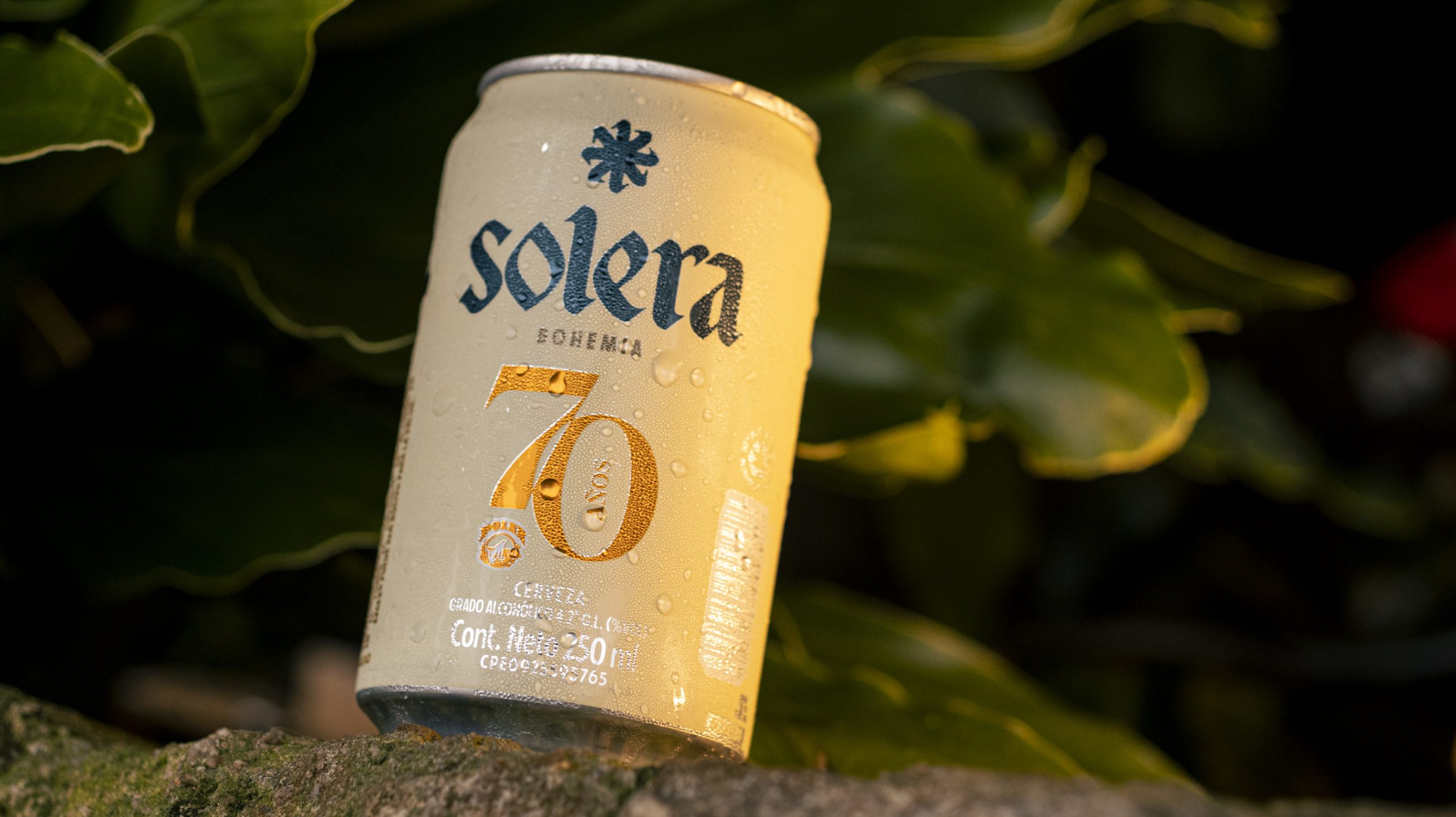 Solera celebra 70 años de innovación con una edición especial: Solera ...